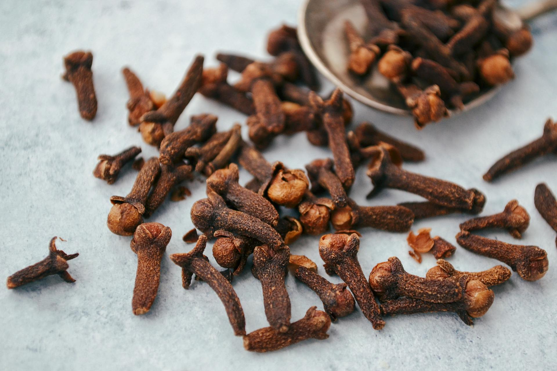 The Benefits of Clove Essential Oil | LIZA VETA® Wellbeing Blog